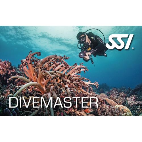 Divemaster