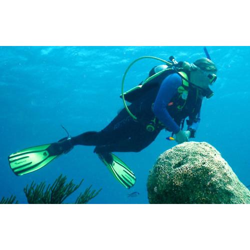 PADI Divemaster Academic Training