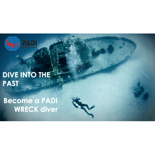 Wreck Diver
