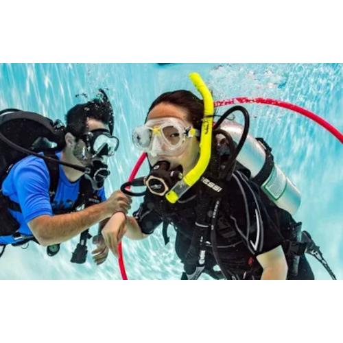 PADI Seal Team Course
