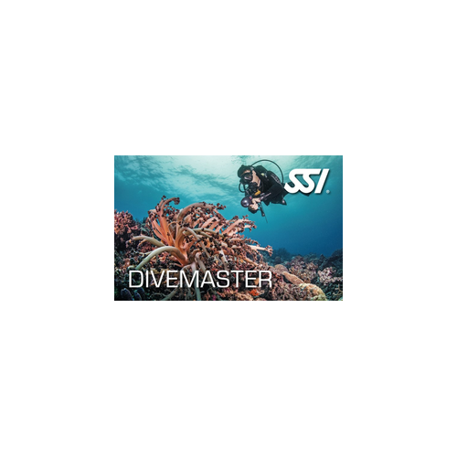 Divemaster