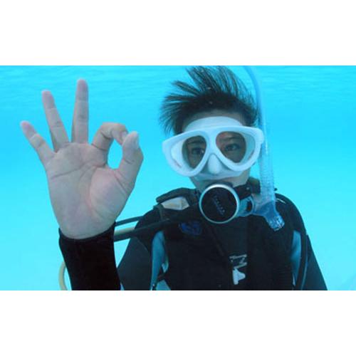 PADI Jr Divemaster Course