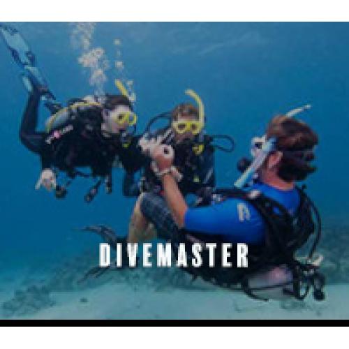 PADI DIVEMASTER