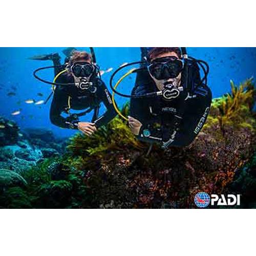 Master Scuba Diver Trainer