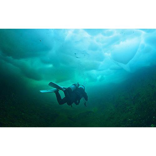 Recreational Ice Diver
