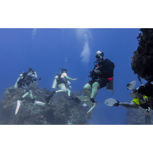 ReActivate Scuba Refresher Program