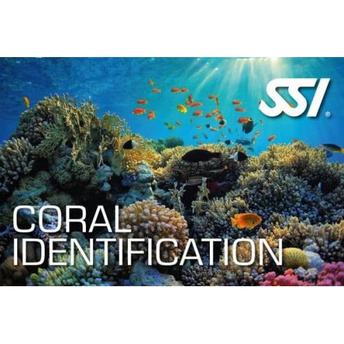 Coral Identification
