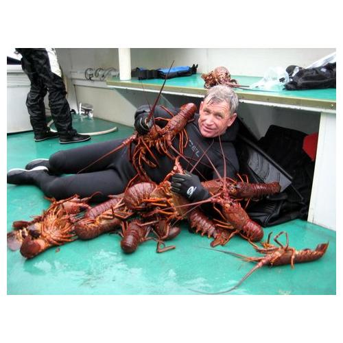 Southern Channel Islands plus Lobster!