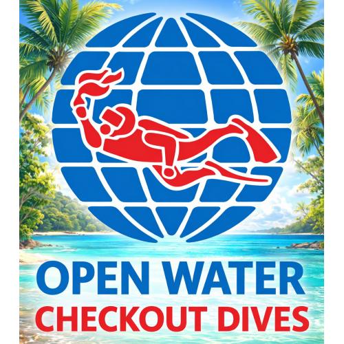 San Francisco bay area scuba diving certification | Marin Dive Shop ...