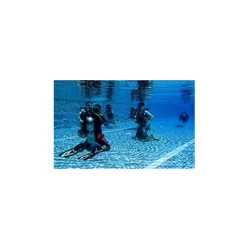 Open Water Scuba Diver Course