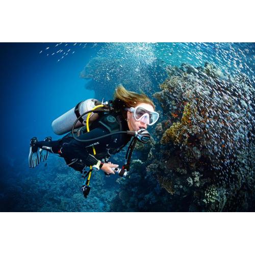 SSI Assistant Instructor Trainer