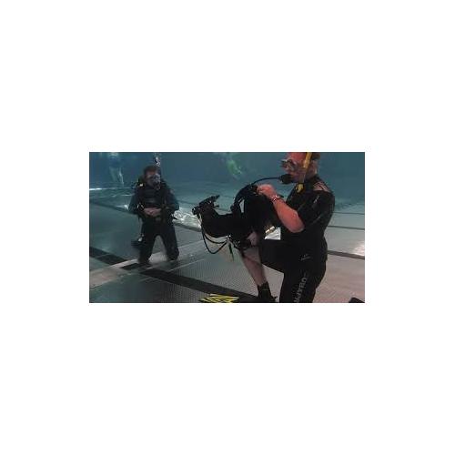 Assistant Instructor