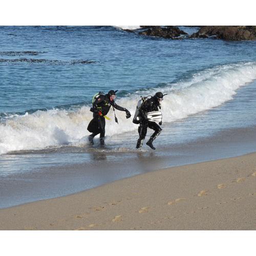 Diver Stress and Rescue