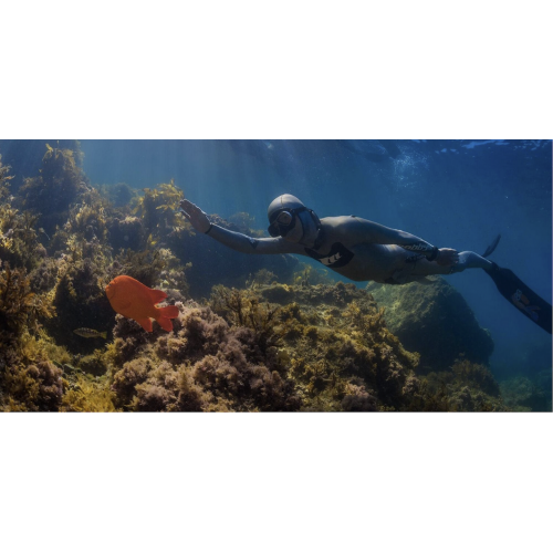 Freediver