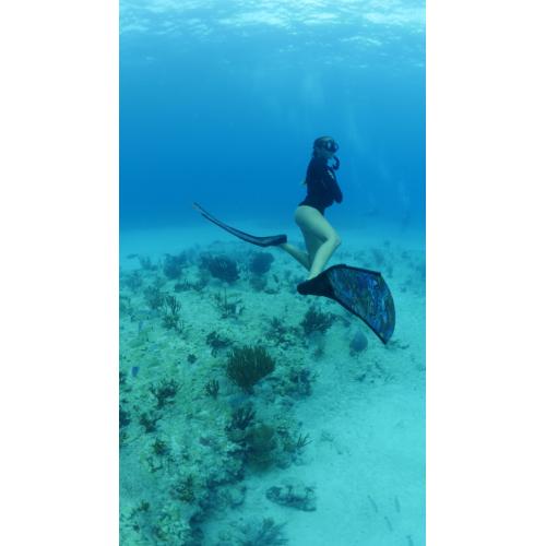 PFI Basic Freediving Course - Elearning