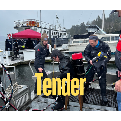 Harvest Diver Tender