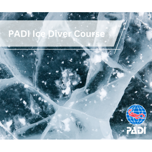 Ice Diver