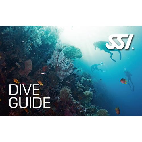 SSI Dive Guide