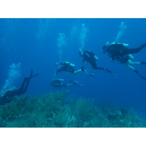 Open Water - Step 3 to Open Water Certification