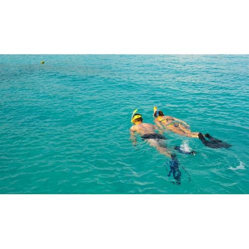 Watermanship / Snorkeling