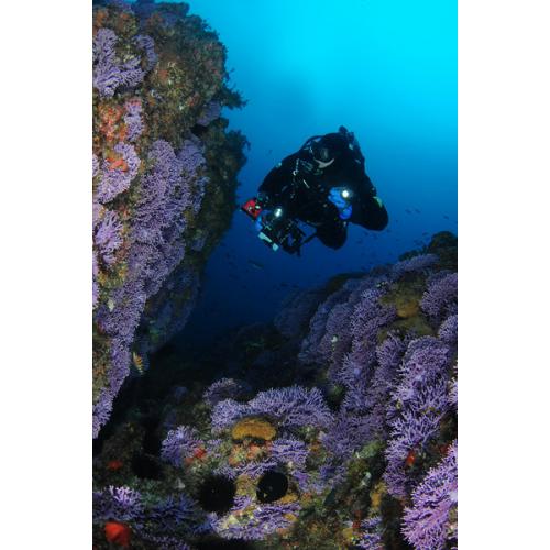 SEPTEMBER 26, 2026 FARNSWORTH BANKS DIVE TRIP