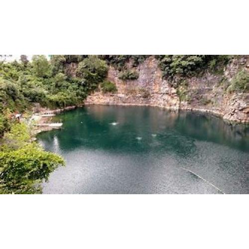 Fun Dives - Local