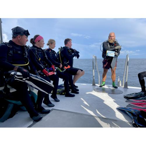 Daily Dive Charters on the dive boats Steel Slinger & Narcosis in ...