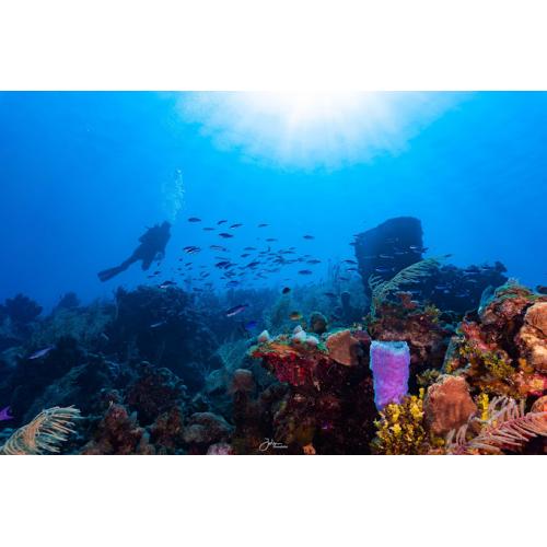 Roatan, Turquoise Bay April 2026