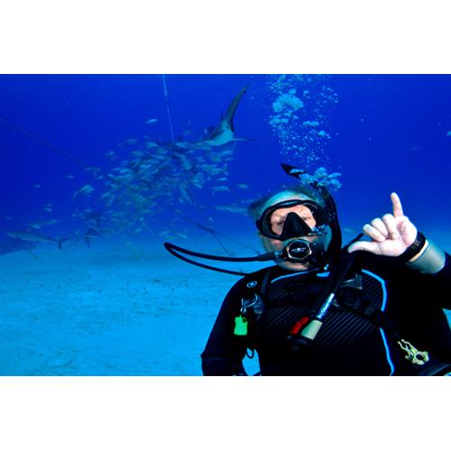 Scuba Skills Update