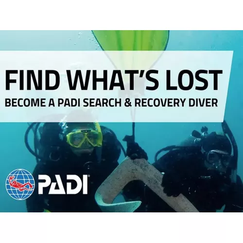 Search and Recovery Diver