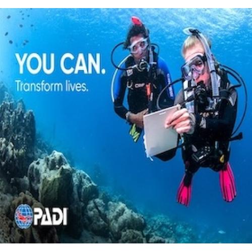 Assistant Instructor