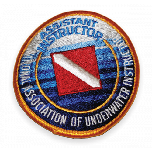 Assistant Instructor