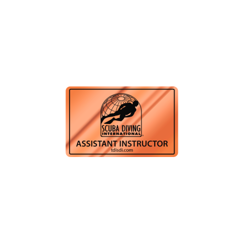 SDI Assistant Instructor