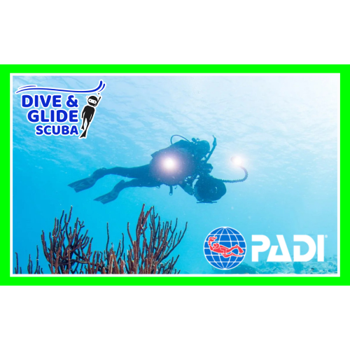 PADI® Digital Underwater Photographer Certification with Dive & Glide ...