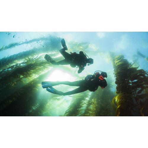 PADI Advanced Open Water Diver