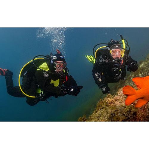 Dry Suit Diver