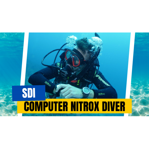 Computer Nitrox Diver
