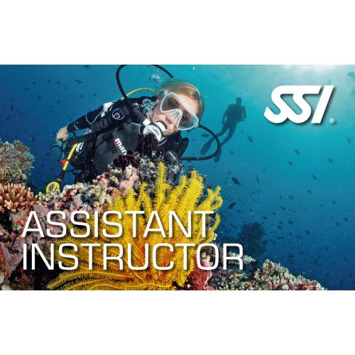 Assistant Instructor