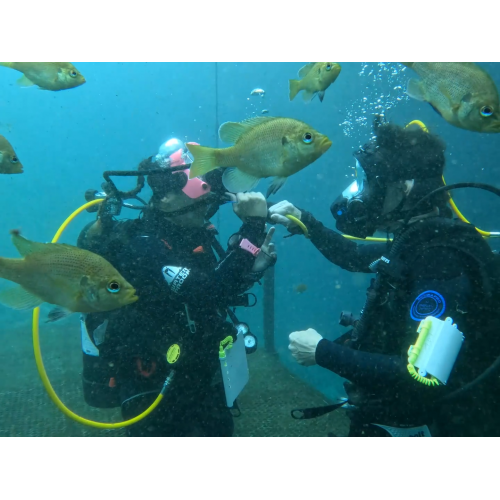 Ocean Reef Integrated Diving Mask Accredited Instructor Course