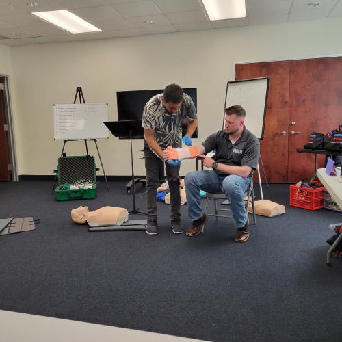 Basic Life Support (BLS): CPR and First Aid (for divers)