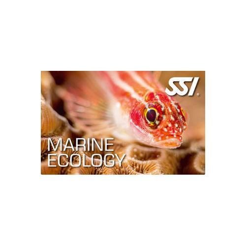 SSI Marine Ecology Class