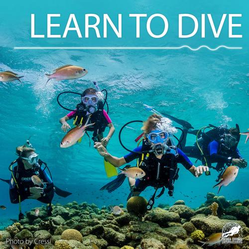 Learn to Dive - Pool Course