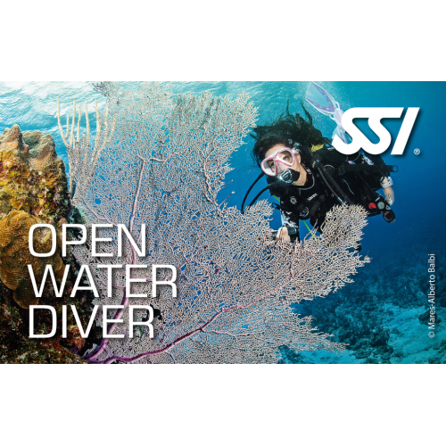Open Water Certification