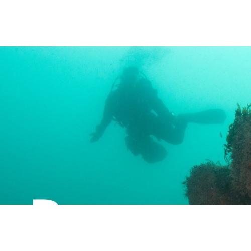 PADI Deep Diver