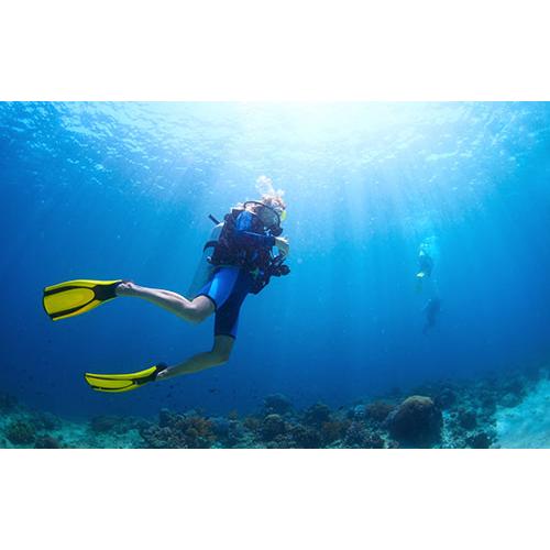 Open Water Scuba Diver Course