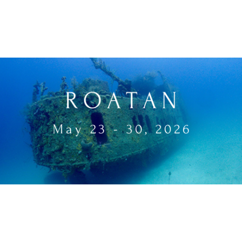 Roatan Scuba Diving Aggressor Liveaboard Trip 2026 | Caribbean ...