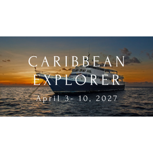 Caribbean Explorer Liveaboard Diving Trip 2027 | One World Dive Travel