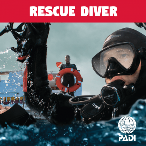 PADI Rescue Diver Certification in Albuquerque, New Mexico | Dive ...