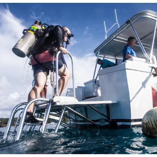 Boat Diver