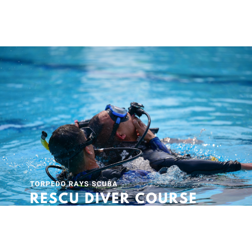 RESCUE DIVER